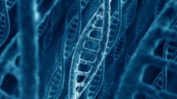 Disostosis espondilocostal autosómica recesiva | FEMEXER