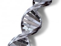 Síndrome de Ehlers-Danlos tipo vascular | FEMEXER