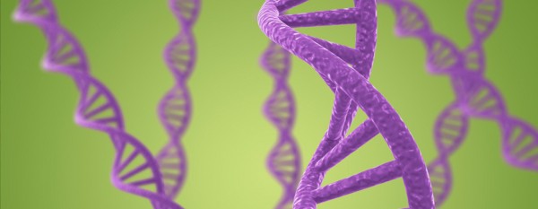 Agenesia/hipoplasia femoral | FEMEXER