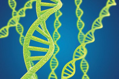 Síndrome de descamación cutánea acral | FEMEXER