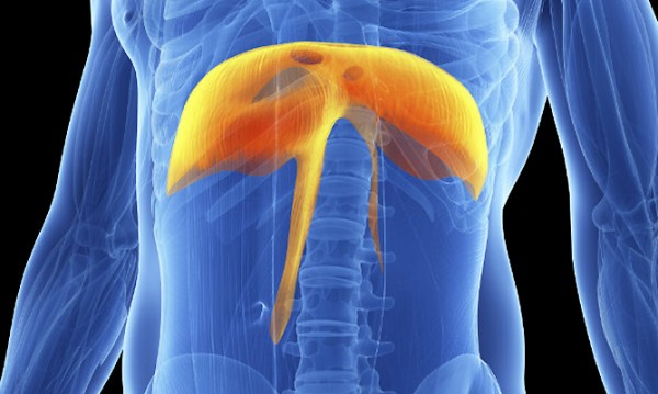 Síndrome de Meacham | FEMEXER