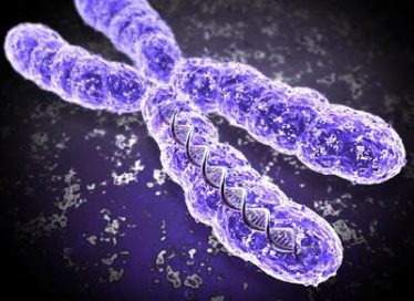 Síndrome de Opitz G/BBB | FEMEXER