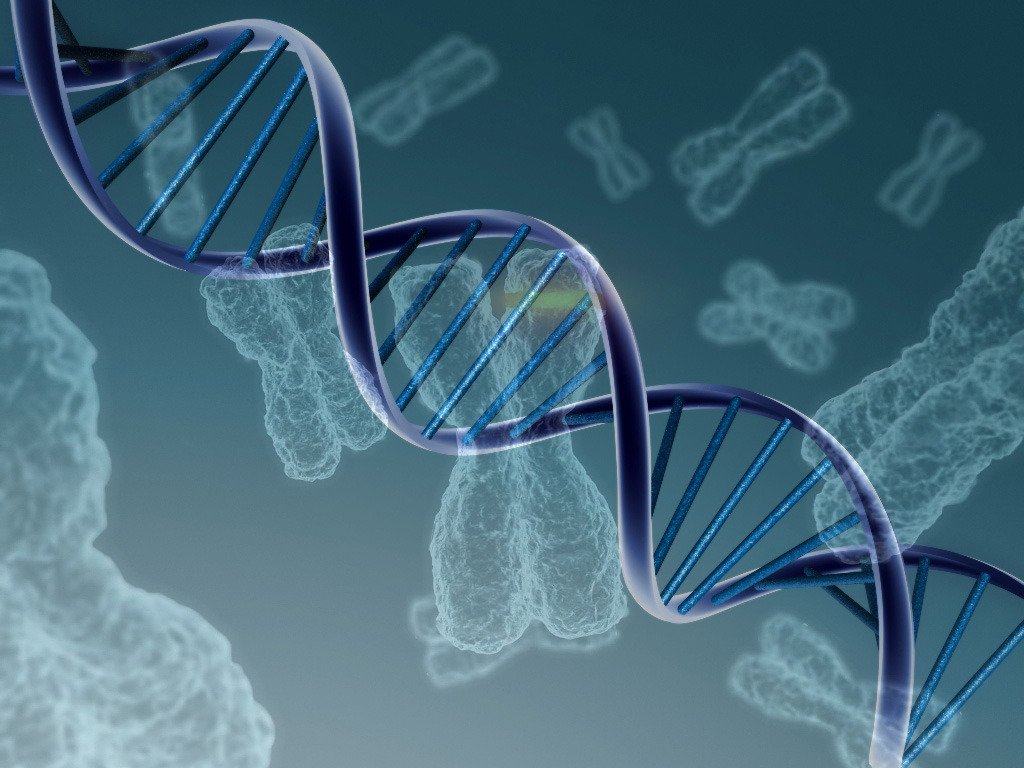 UNAM busca diagnosticar raras enfermedades genéticas | FEMEXER