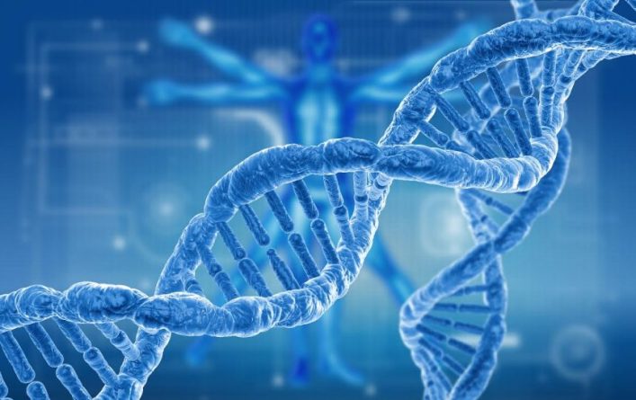 Disgenesia reticular | FEMEXER