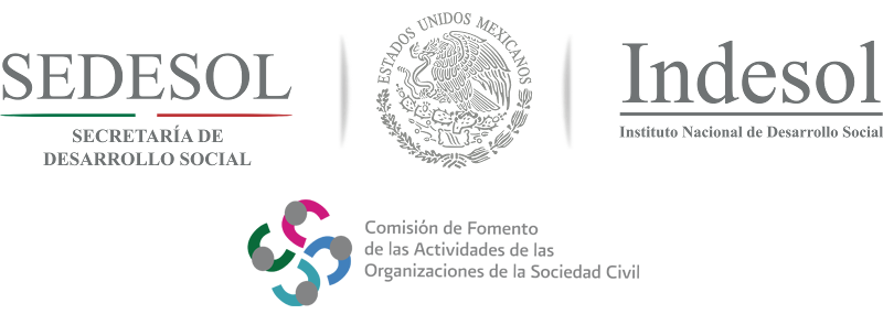 Capacitación a Distancia (INDESOL) para ONGs | FEMEXER