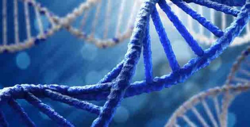 Deficiencia de triosa fosfato-isomerasa | FEMEXER