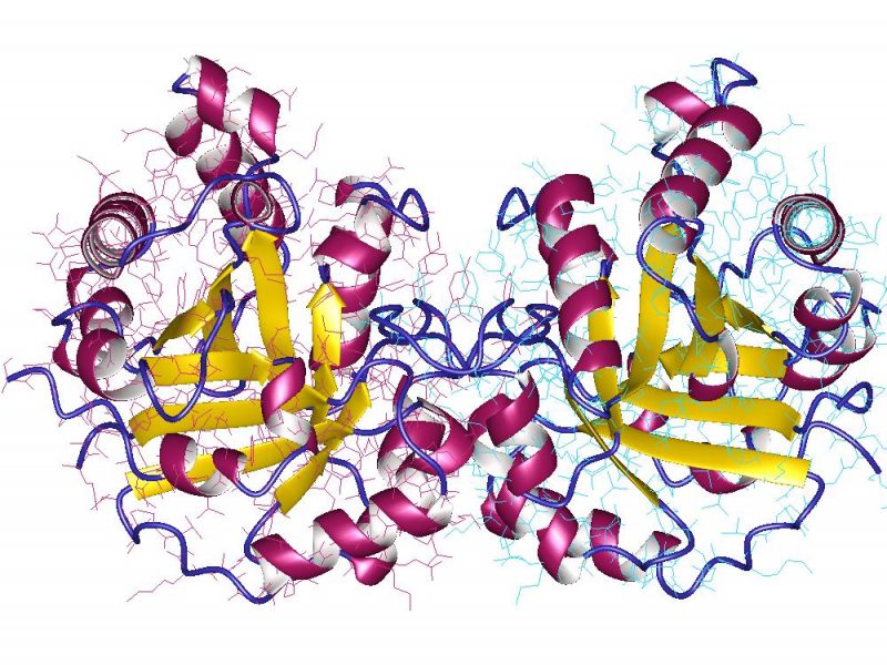Deficiencia de triosa fosfato-isomerasa | FEMEXER