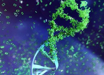 Discapacidad intelectual – calvicie – luxación de rótula – acromicria ...