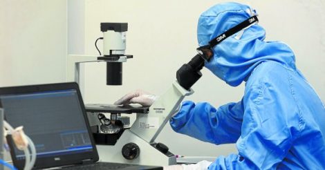 Vivebiotech multiplicará por diez su producción en 2019 | FEMEXER