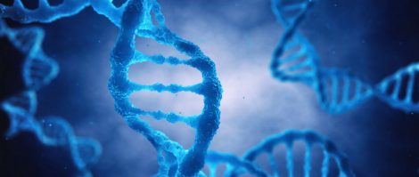 Déficit intelectual – dismorfia – hipogonadismo – diabetes mellitus ... Déficit intelectual – dismorfia – hipogonadismo – diabetes mellitus ...