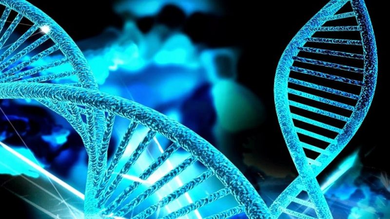 Unos padres buscan a los 7 afectados en todo el mundo por una mutación ...