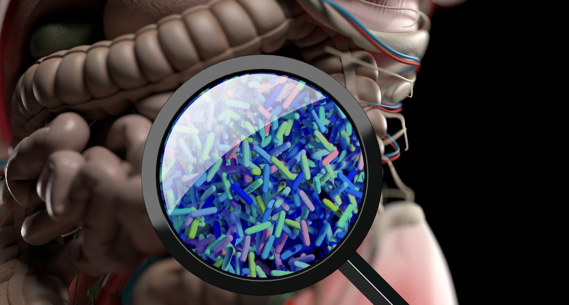 Microbioma intestinal, salud humana y las enfermedades raras | FEMEXER