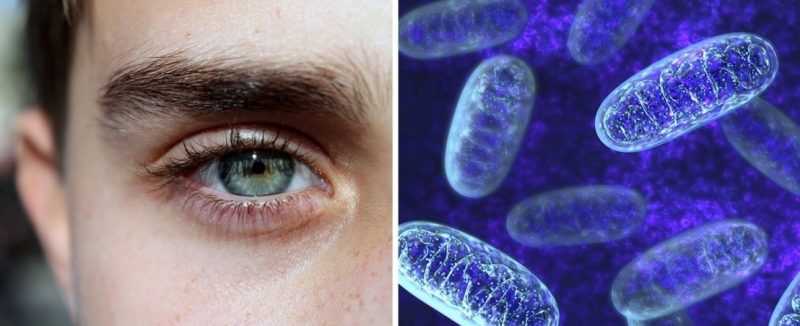 Santhera firma acuerdo de licencia con Chiesi Group para Raxone® por un ...